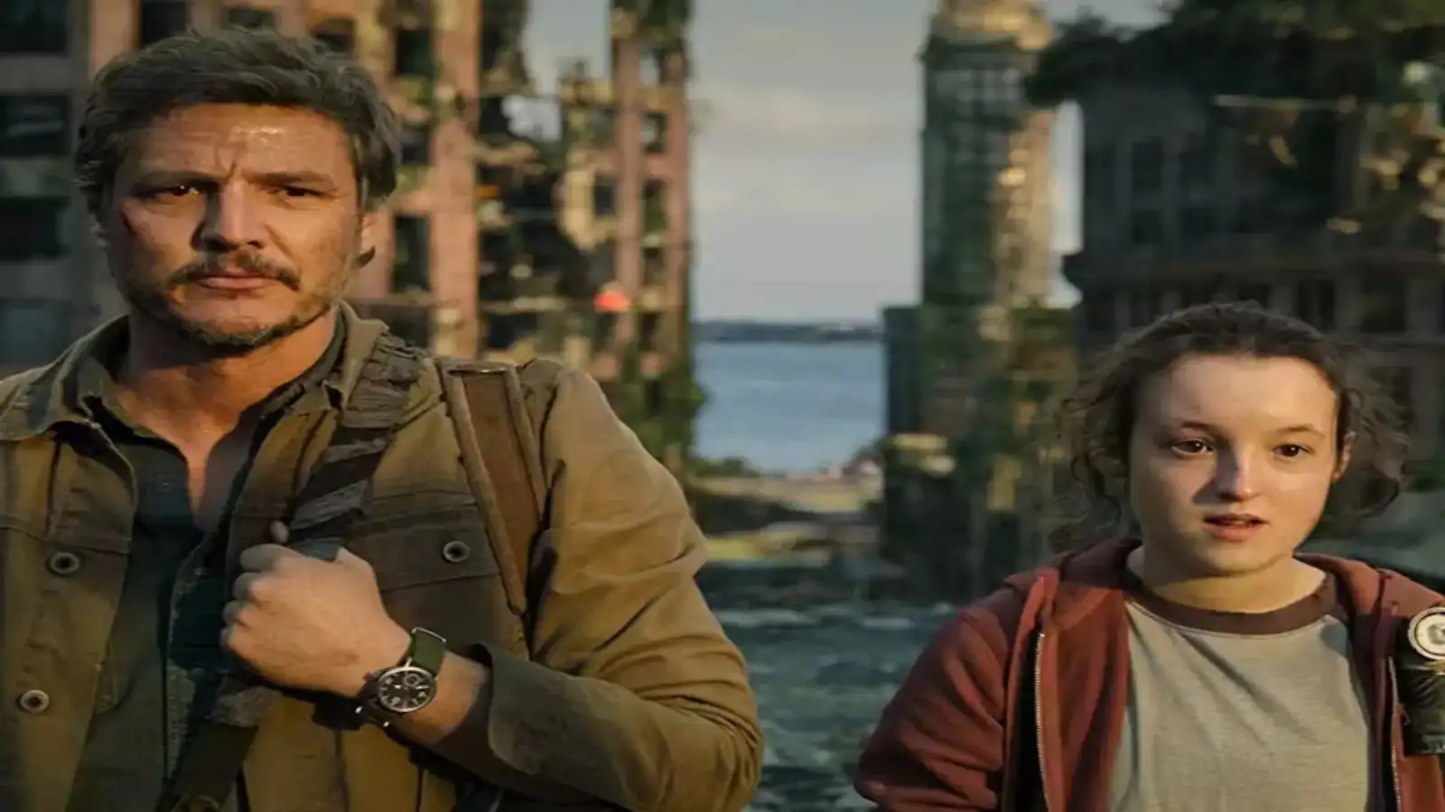 Entertainment Buzz: Pedro Pascal’s Economy Flight and The Last of Us ...