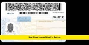 New Drivers License Rules for Seniors: 2025 Update You Should Know