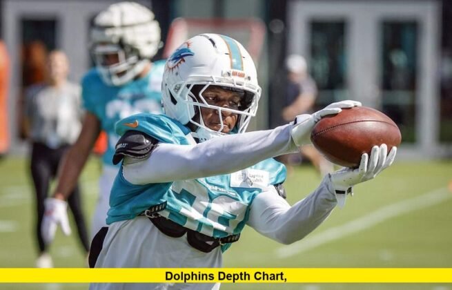 Dolphins Depth Chart Shifts with Latest Roster Moves