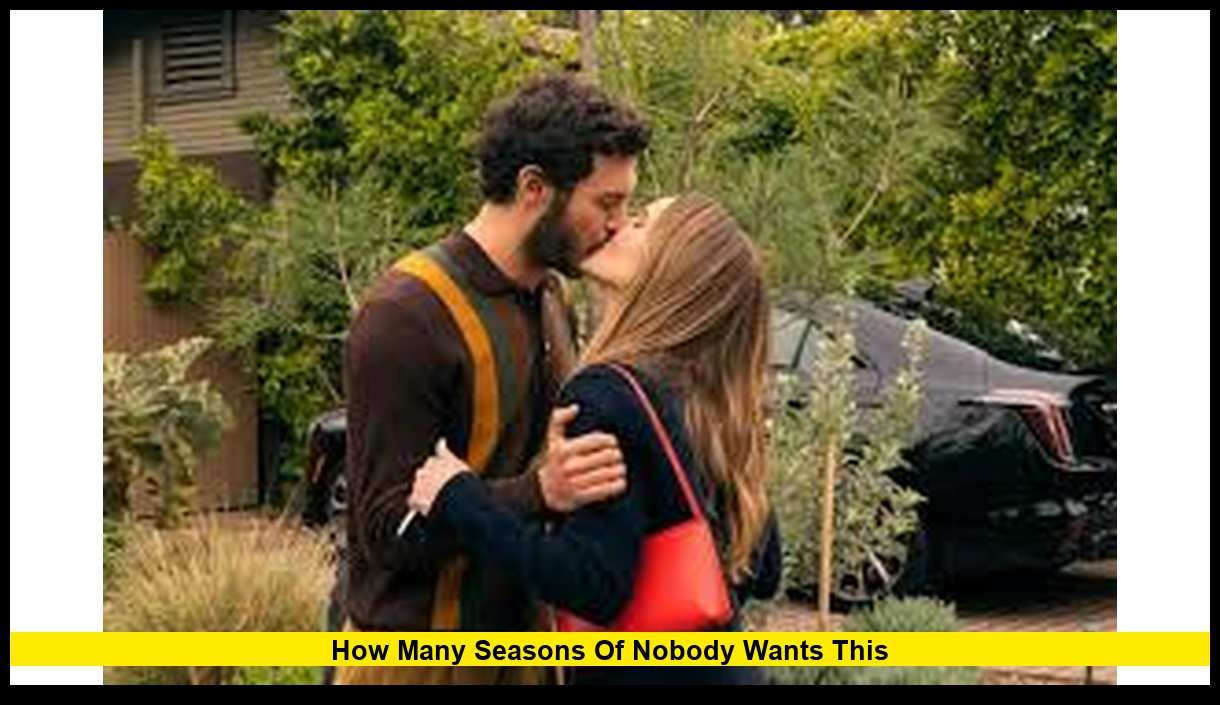 How Many Seasons of Nobody Wants This