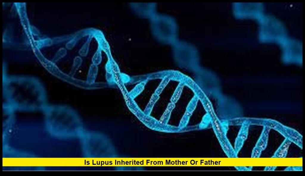 Is Lupus Inherited From Mother or Father? 2025 Genetic Insights, Family ...