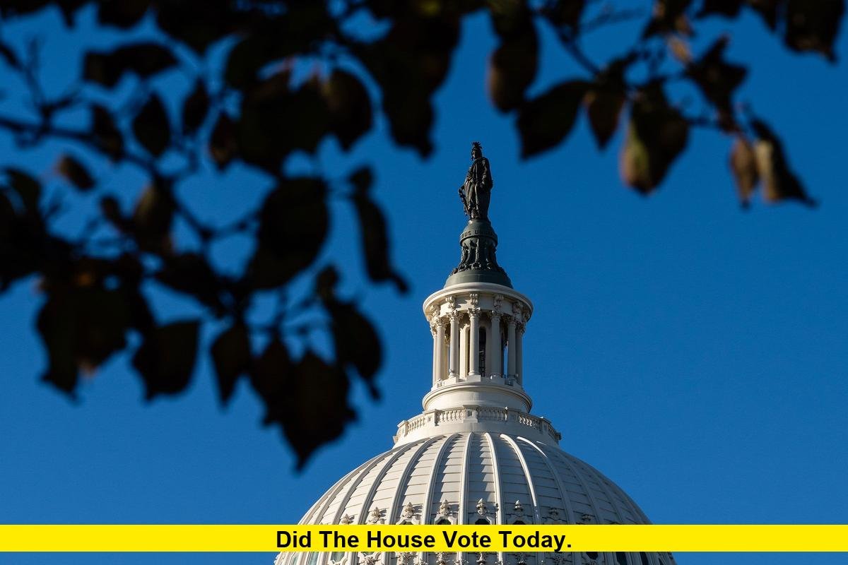 Did the House Vote Today?