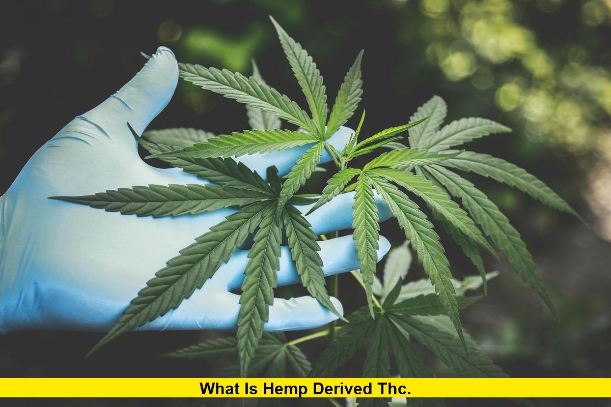 What Is Hemp Derived THC — The 2025 Update on U.S. Laws, Industry, and ...