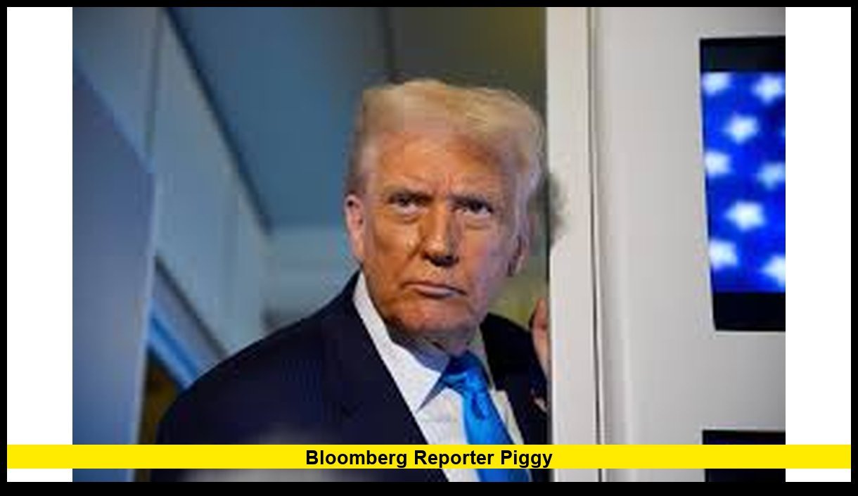 Bloomberg Reporter Piggy: A Snapshot of the Viral Moment and Its Ripples