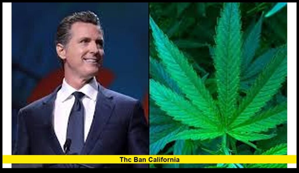 THC Ban California: What You Need to Know About the Latest Rules