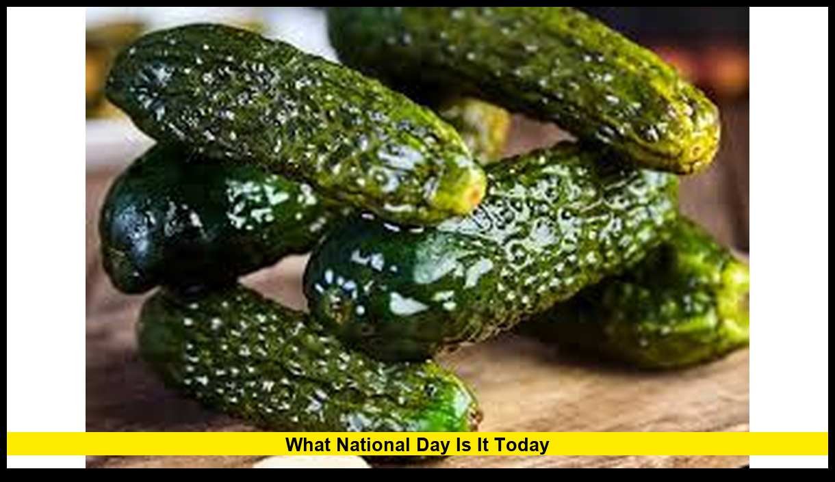 What National Day Is It Today – National Pickle Day (November 14, 2025)