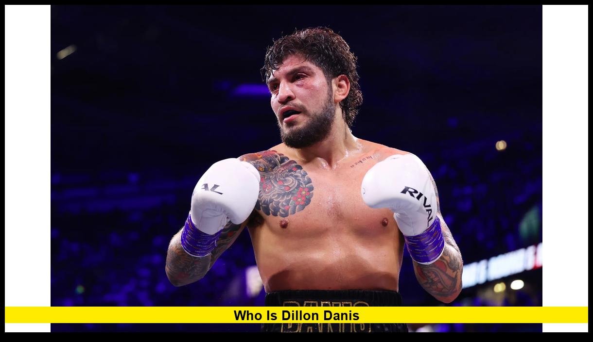 Who Is Dillon Danis? Understanding the Fighter at the Center of Combat ...