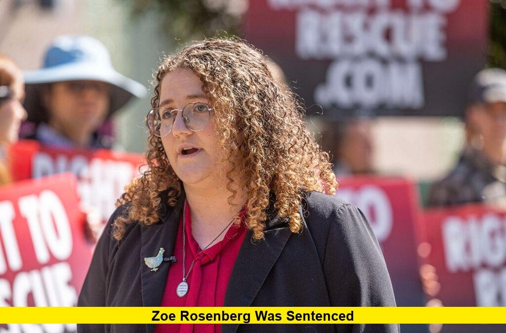 Zoe Rosenberg Sentenced to 90 Days in Jail After High-Profile Chicken ...