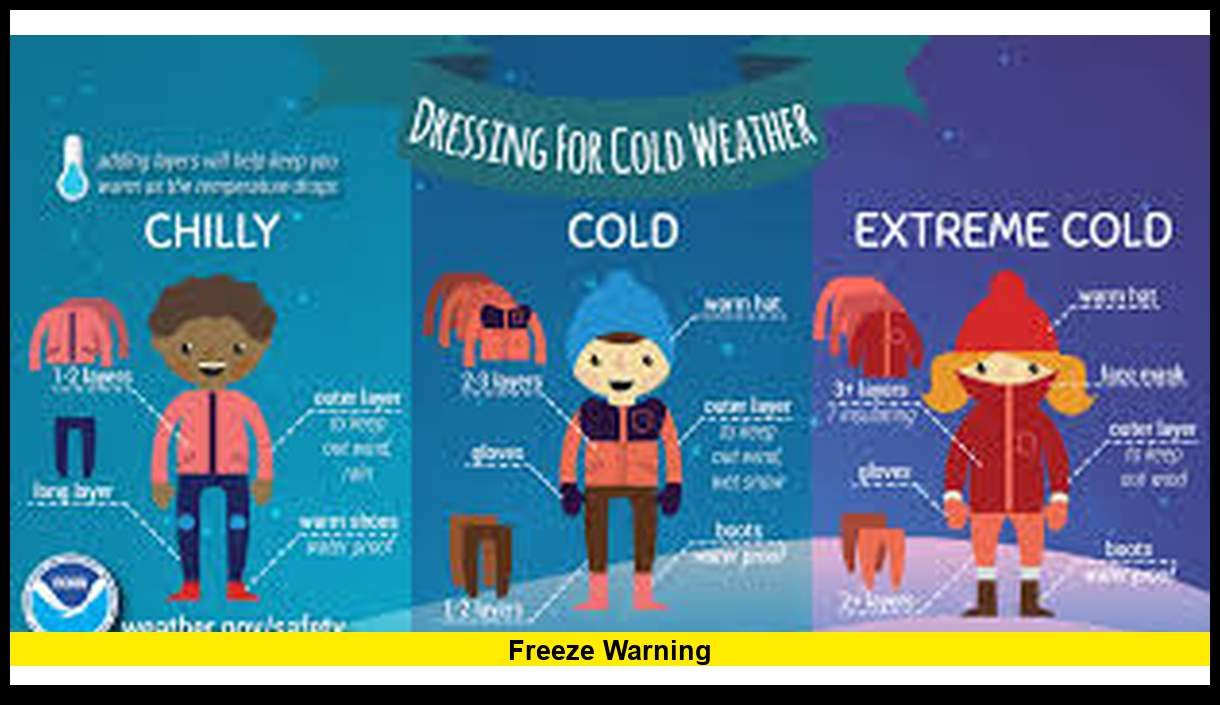 Freeze Warning: Widespread U.S. Cold Alerts Signal Growing Impacts ...