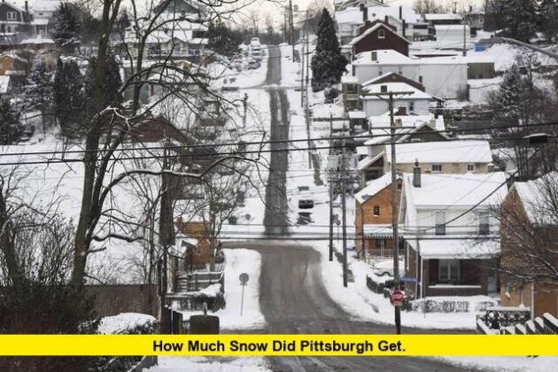 How Much Snow Did Pittsburgh Get? City Buried in Historic Snowfall