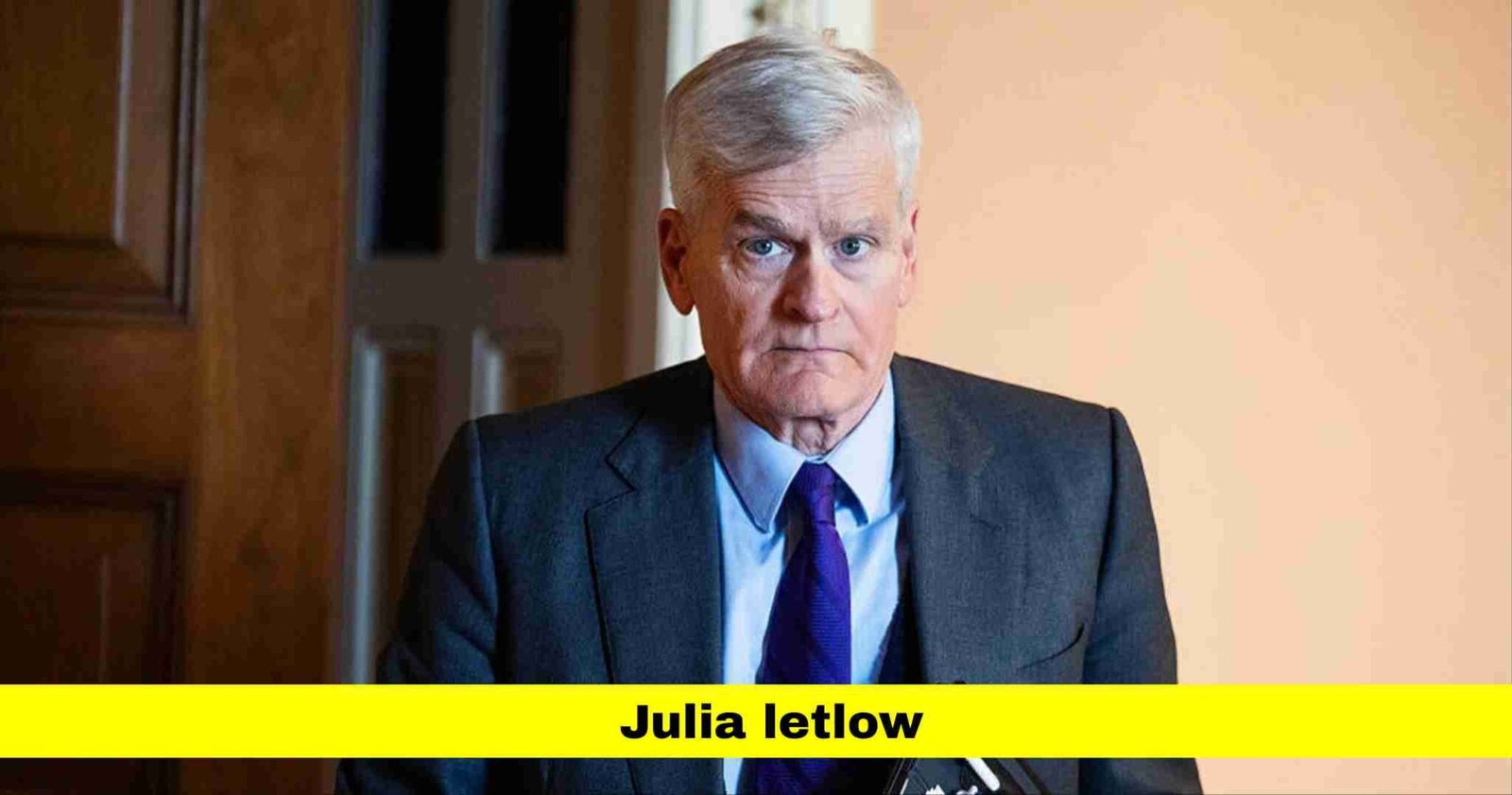 Inside the 2026 Louisiana Senate Shake-Up: julia letlow Emerges as ...