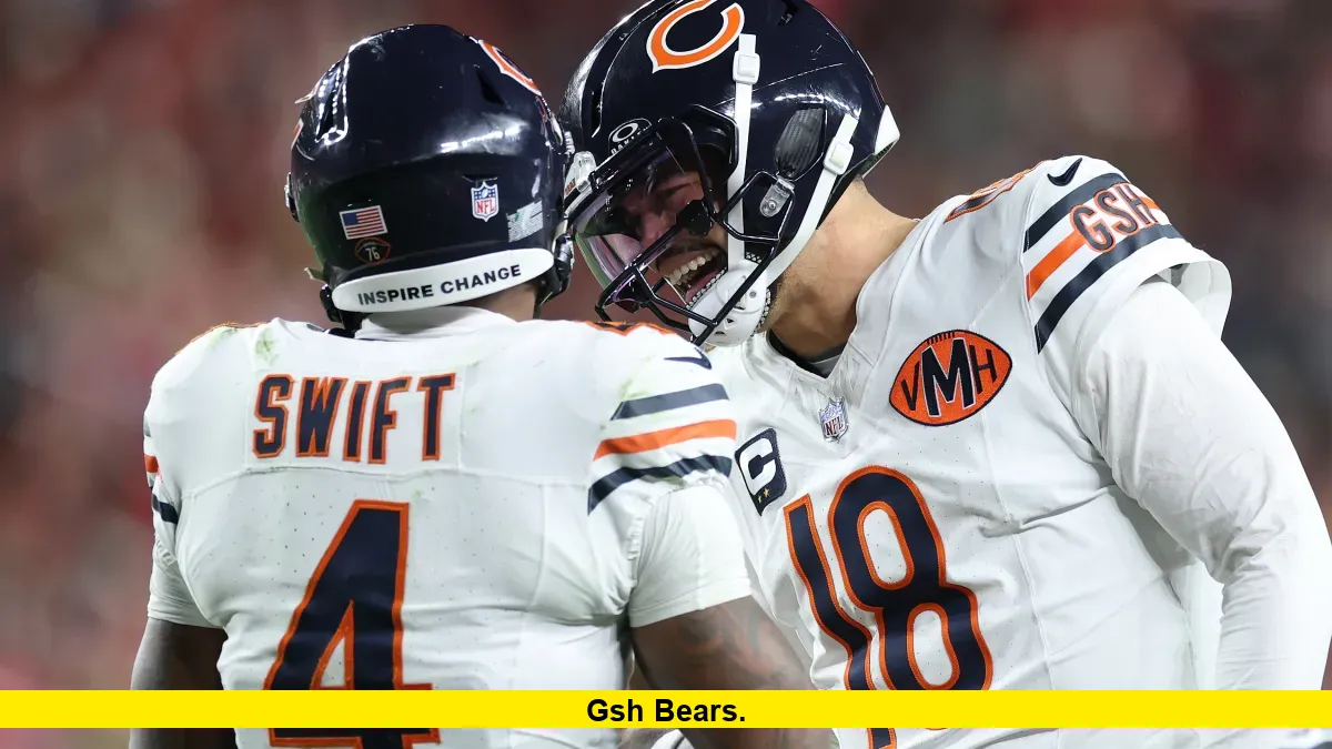 Chicago’s Resurgence: How the gsh bears Are Redefining Tradition ...