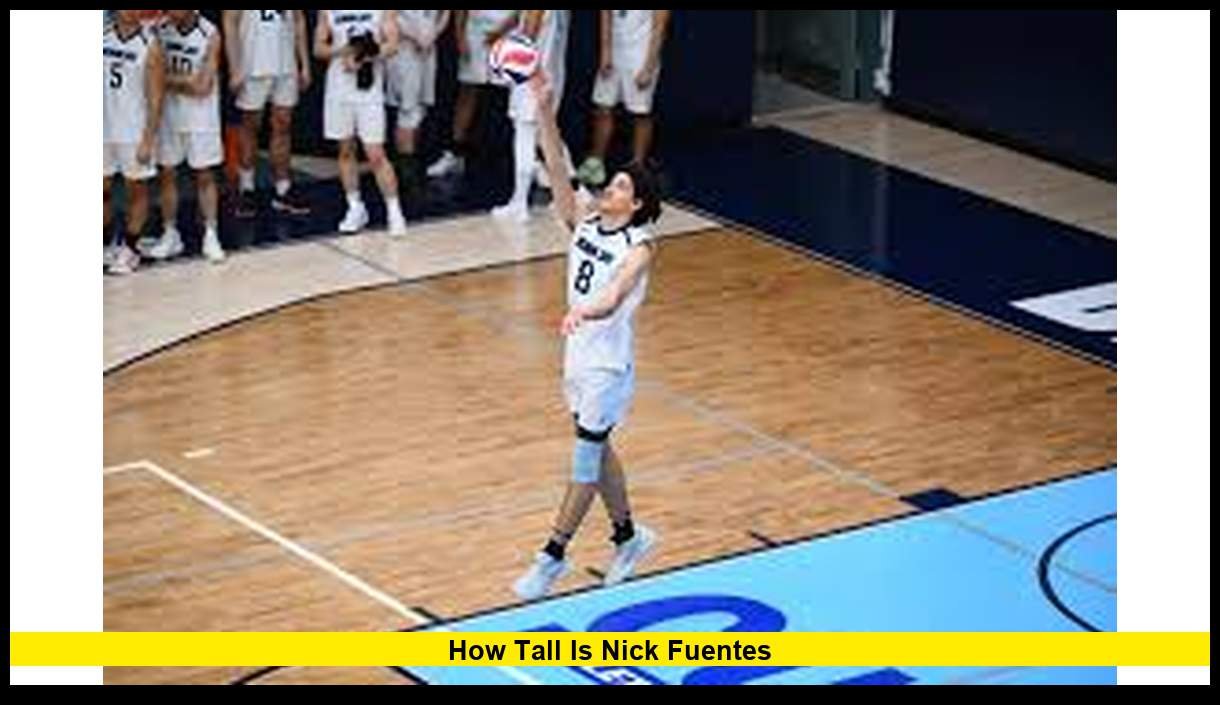 How Tall Is Nick Fuentes? Verified Height, Biography, and the Public ...