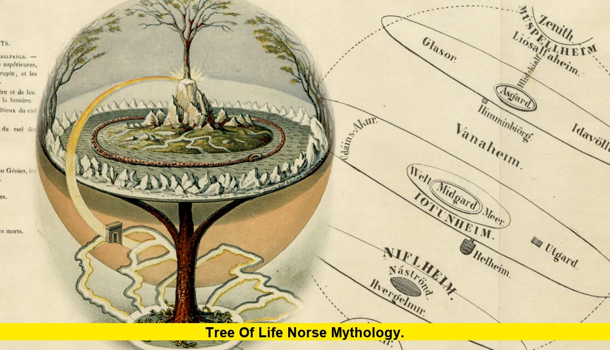 Uncovering the Tree of Life Norse Mythology Roots: What the Ancient ...