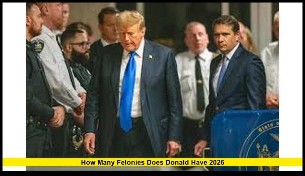 How Many Felonies Does Donald Have? A Detailed Look at the 34 Counts ...